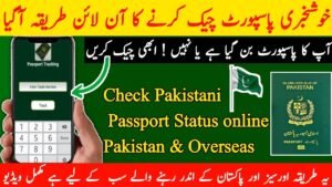 How to Track Your Pakistani Passport Application Online (2025 Guide)